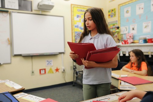 Six Teaching Principles: #6 Include Students in the Learning Process ...